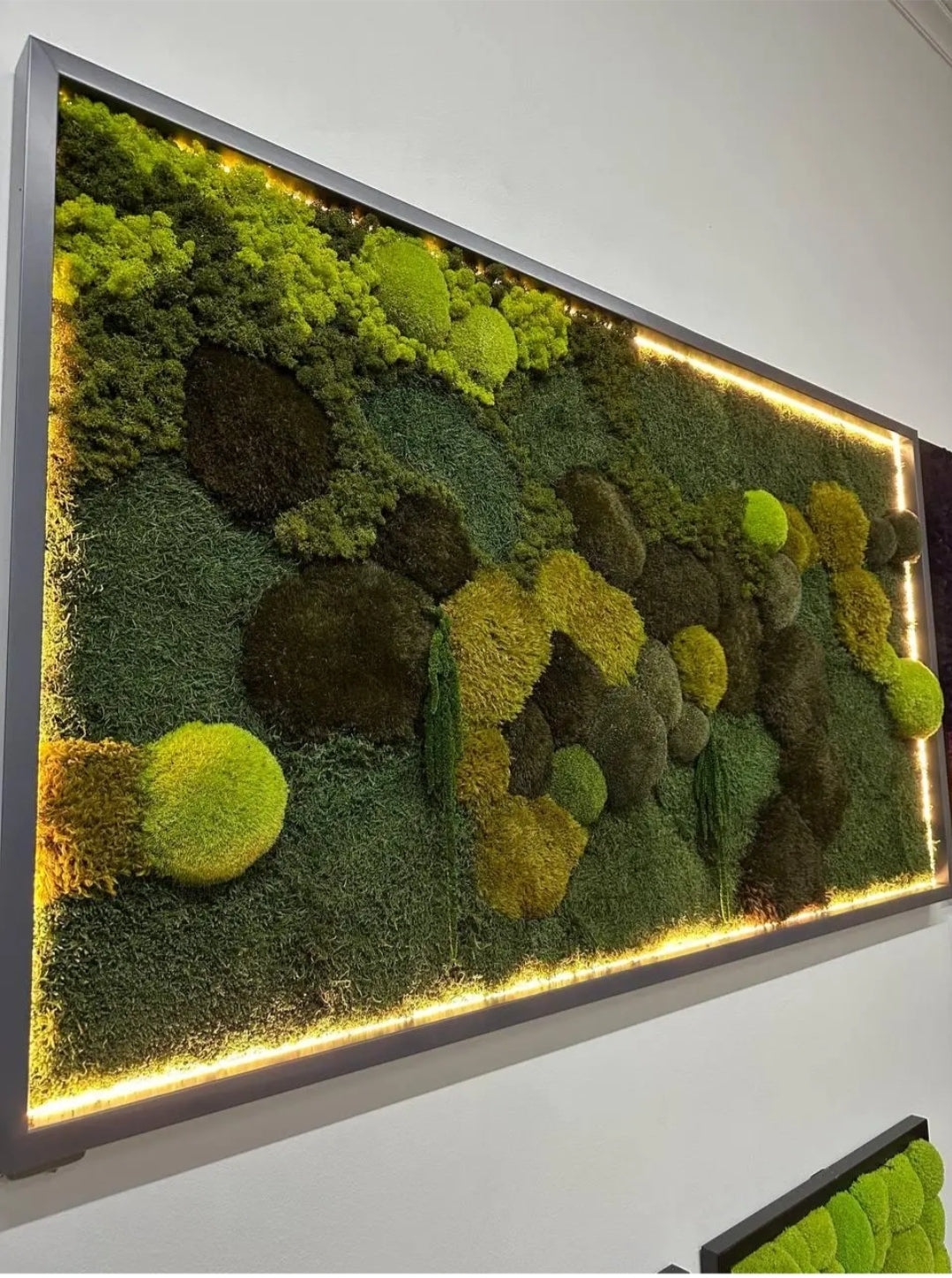 "Luminous Green Haven" Preserved Moss Wall Art Frame – ELMOSSDECOR