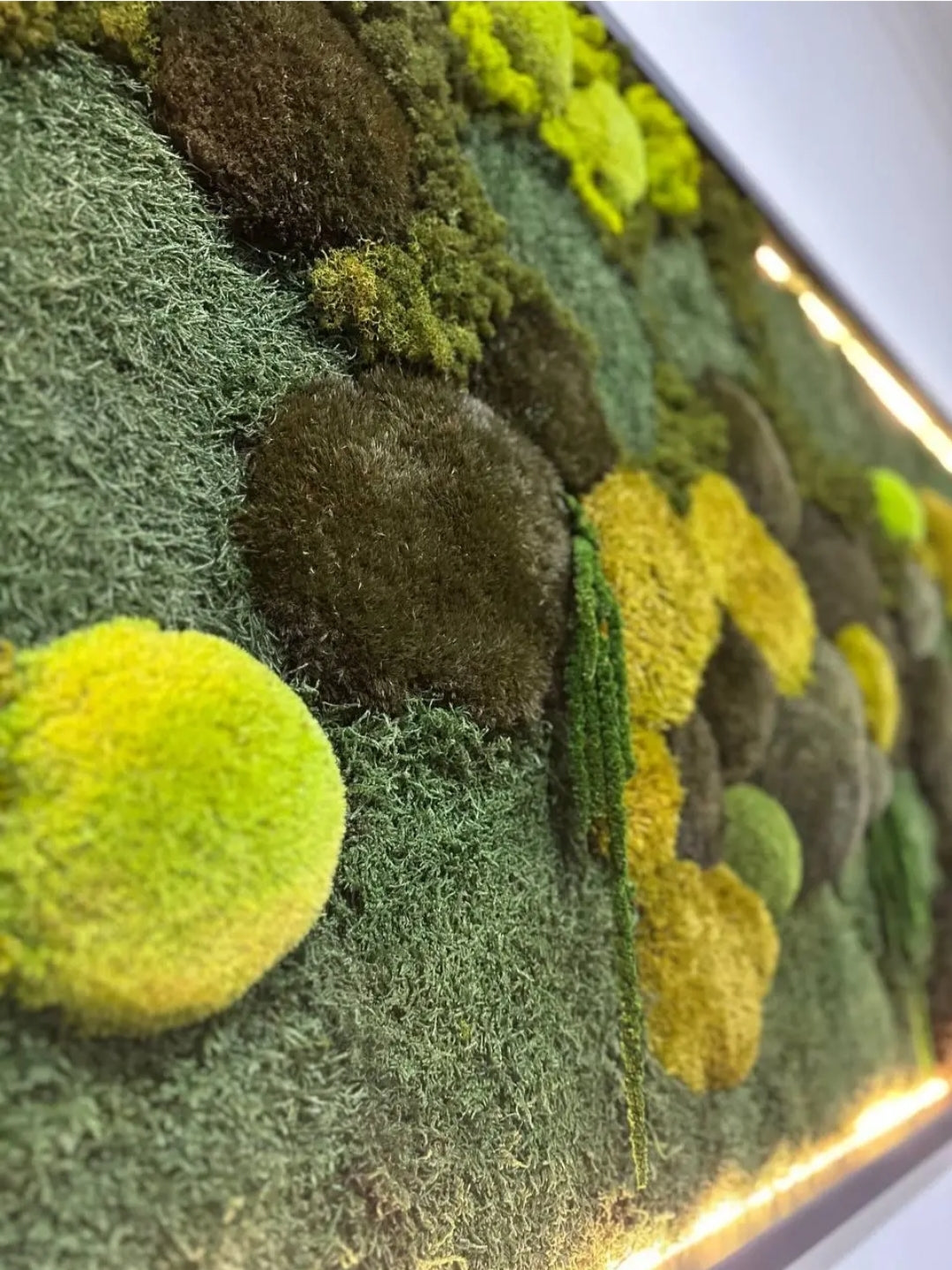 "Luminous Green Haven" Preserved Moss Wall Art Frame – ELMOSSDECOR